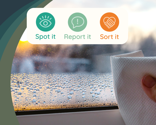 Damp and mould | Moat